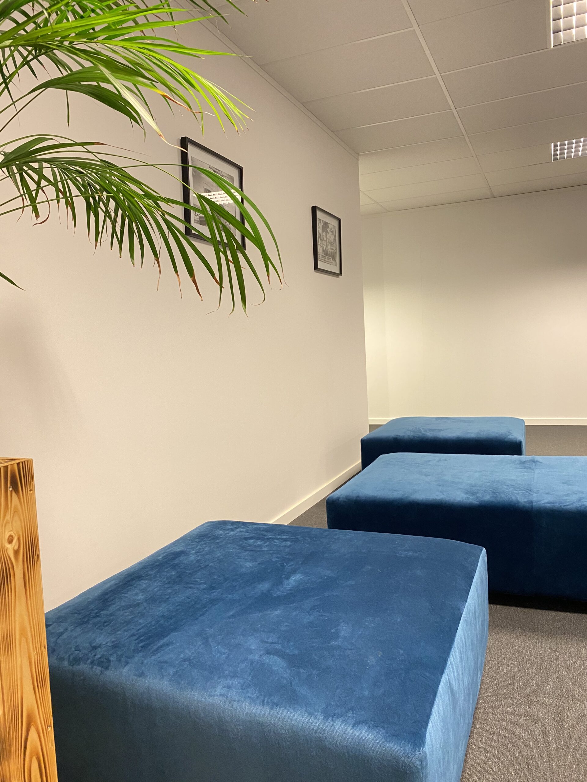 Ultimate Car Aesthetic Care – Car detailing- Ceramic Coating – Polishing